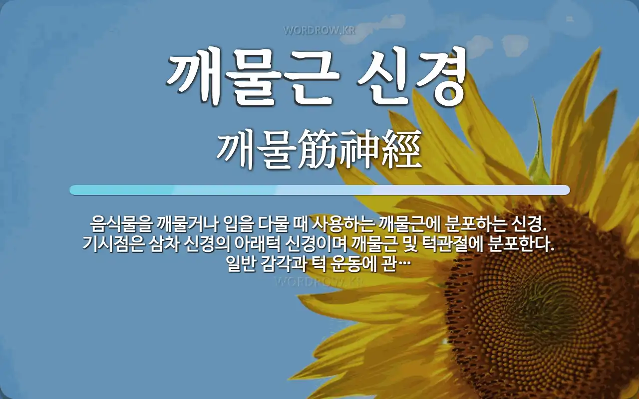 깨물근 신경 뜻 음식물을 깨물거나 입을 다물 때 사용하는 깨물근에 분포하는 신경 기시점은 삼차 신경의 아
