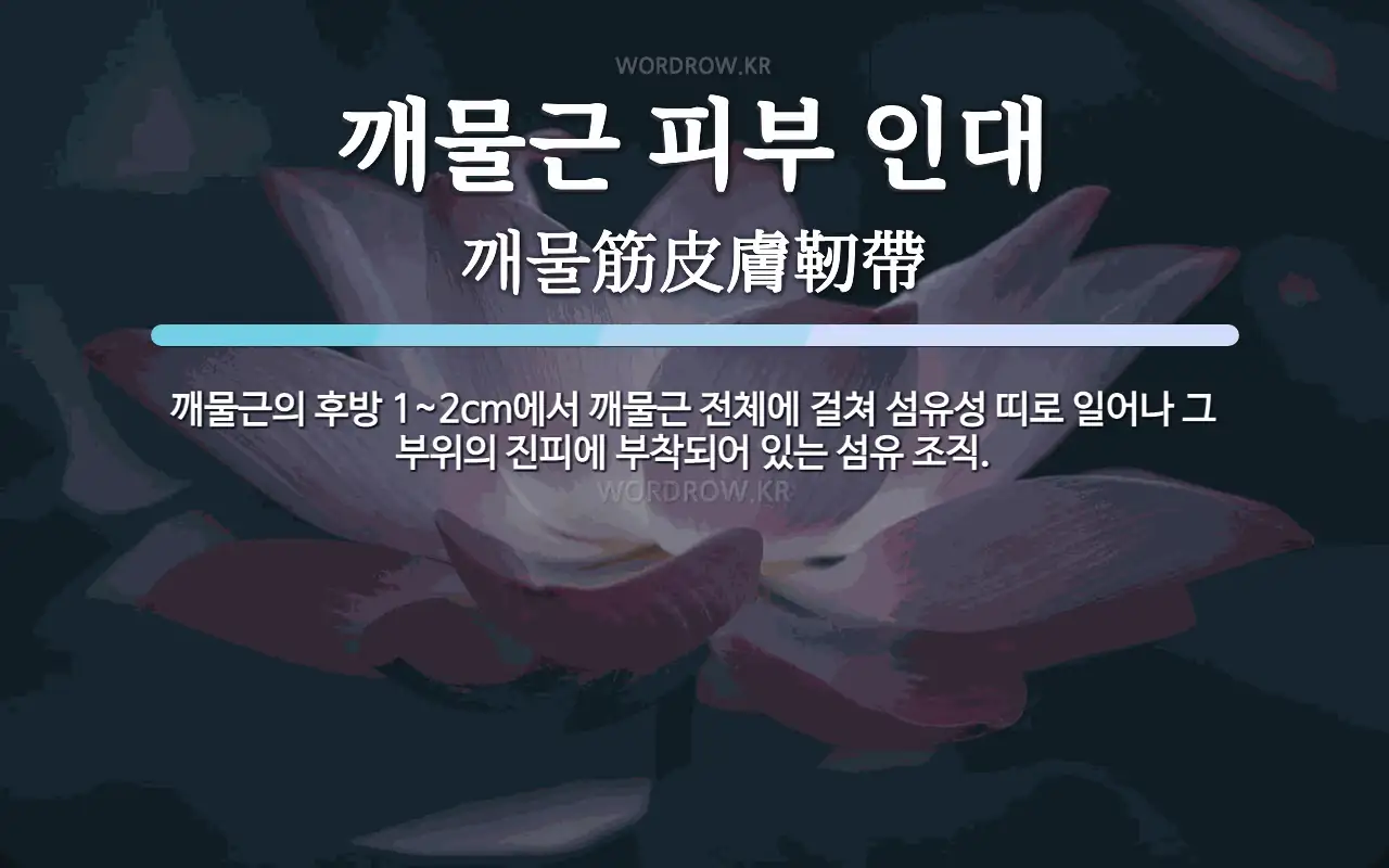 깨물근 피부 인대 뜻 깨물근의 후방 1~2cm에서 깨물근 전체에 걸쳐 섬유성 띠로 일어나 그 부위의 진피에 부착