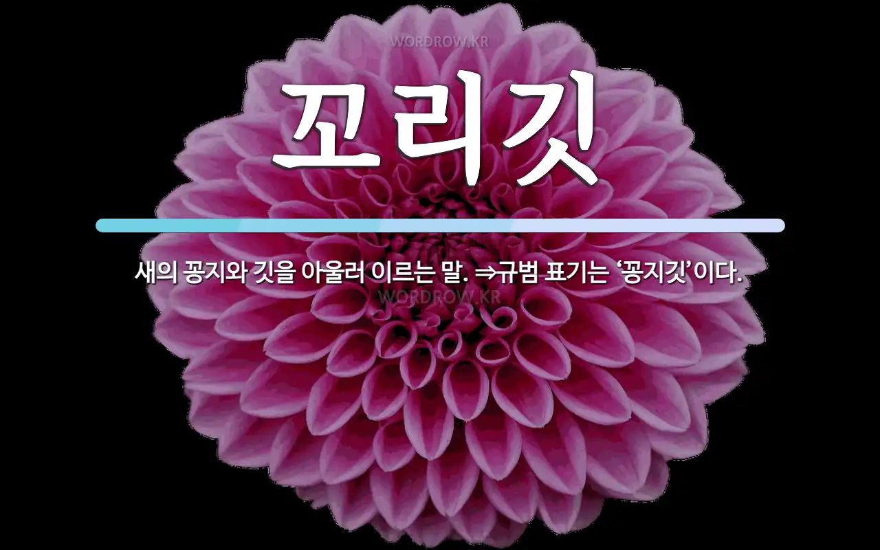 꼬리깃 뜻 새의 꽁지와 깃을 아울러 이르는 말 ⇒규범 표기는 ‘꽁지깃이다