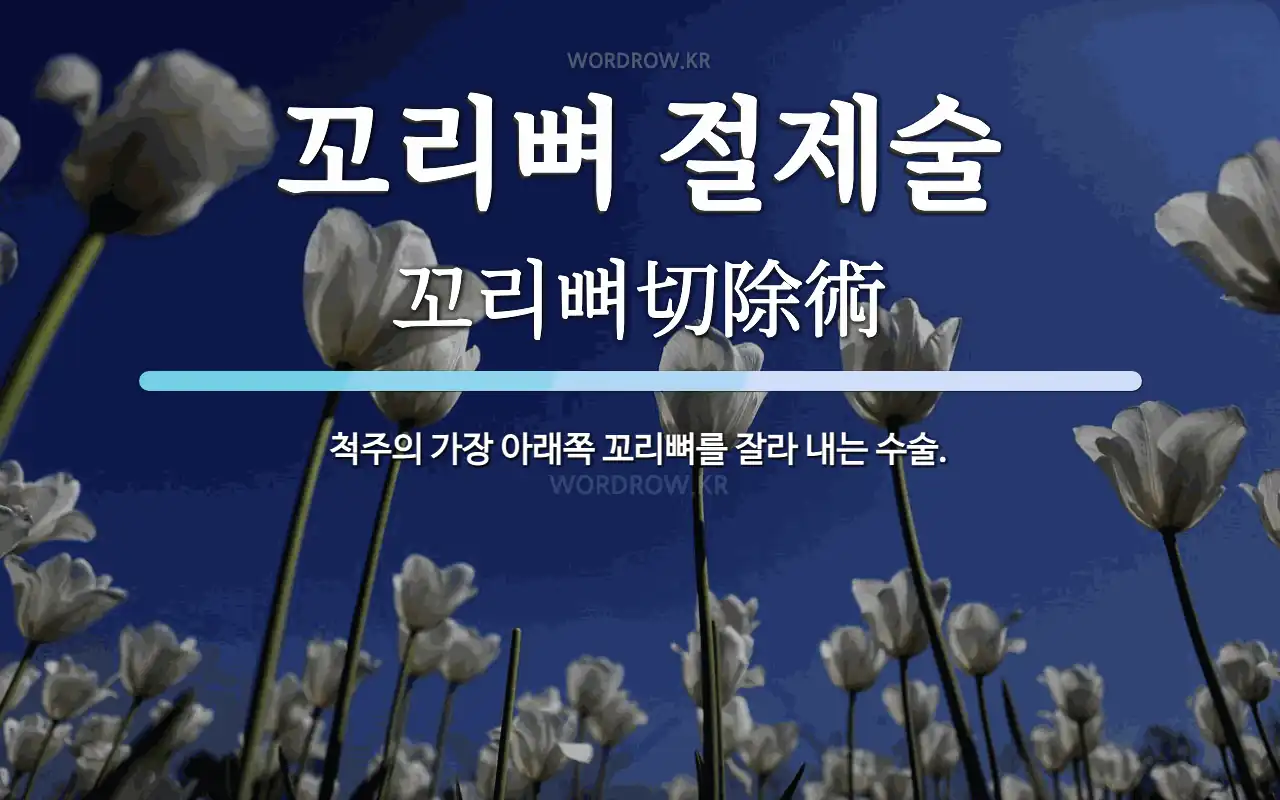 꼬리뼈 절제술 뜻 척주의 가장 아래쪽 꼬리뼈를 잘라 내는 수술