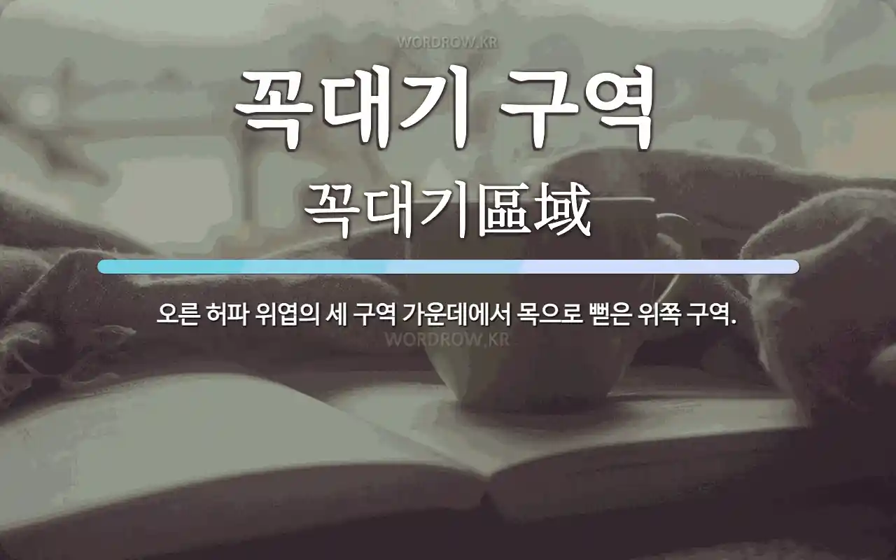 꼭대기 구역 뜻 오른 허파 위엽의 세 구역 가운데에서 목으로 뻗은 위쪽 구역