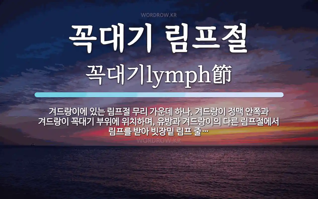 꼭대기 림프절 뜻 겨드랑이에 있는 림프절 무리 가운데 하나 겨드랑이 정맥 안쪽과 겨드랑이 꼭대기 부위에 위