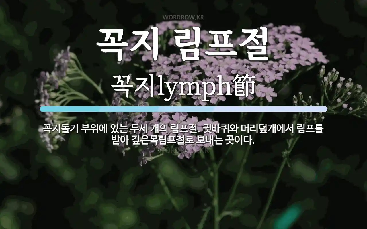 꼭지 림프절 뜻 꼭지돌기 부위에 있는 두세 개의 림프절 귓바퀴와 머리덮개에서 림프를 받아 깊은목림프절로