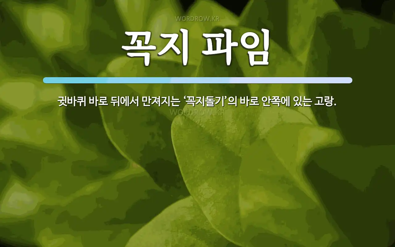 꼭지 파임 뜻 귓바퀴 바로 뒤에서 만져지는 ‘꼭지돌기의 바로 안쪽에 있는 고랑