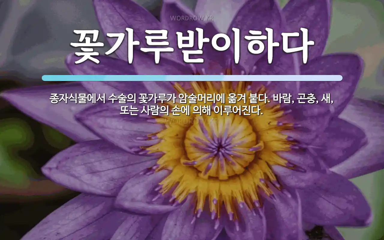 꽃가루받이하다 뜻 종자식물에서 수술의 꽃가루가 암술머리에 옮겨 붙다 바람 곤충 새 또는 사람의 손에