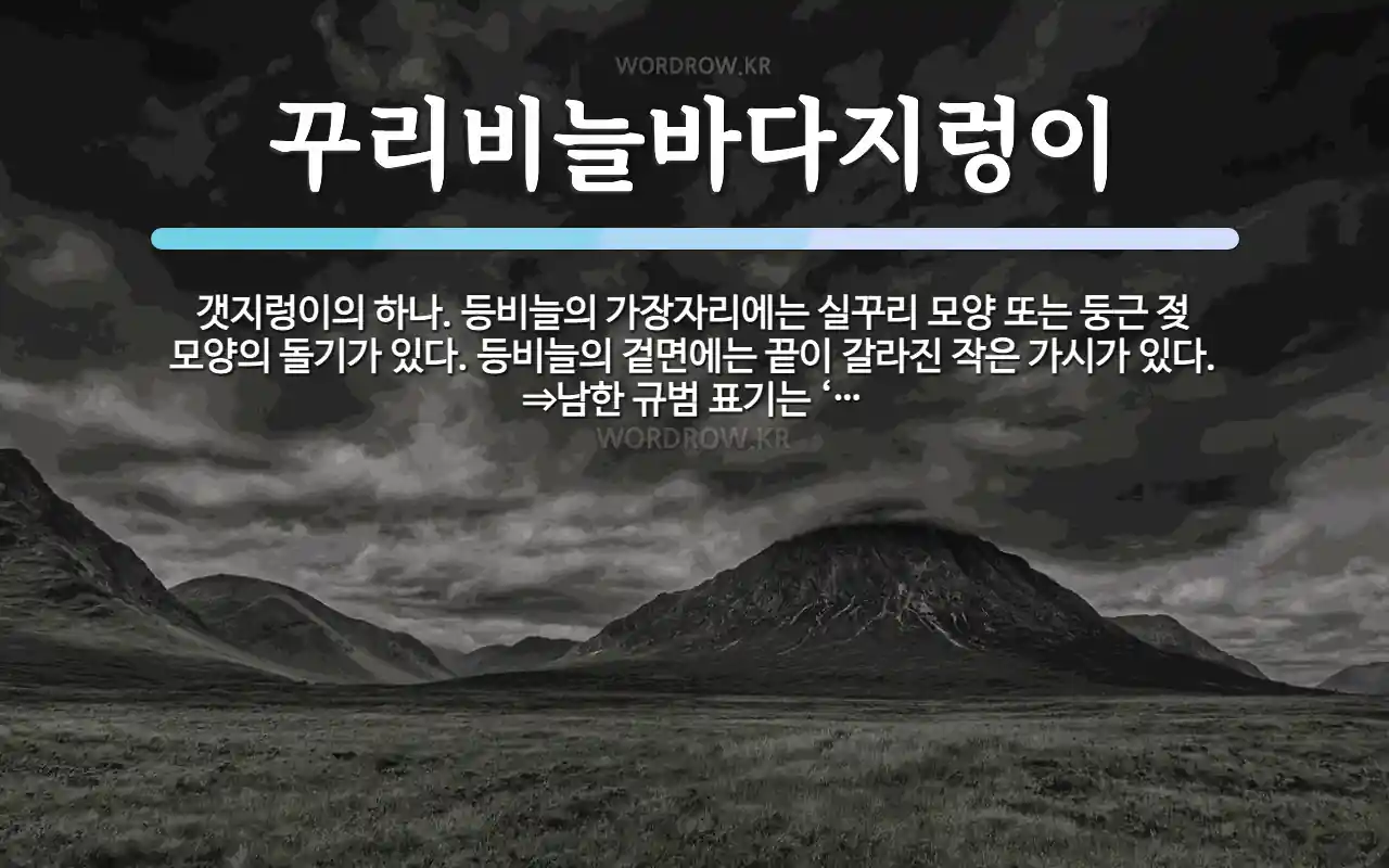 꾸리비늘바다지렁이 뜻 갯지렁이의 하나 등비늘의 가장자리에는 실꾸리 모양 또는 둥근 젖 모양의 돌기가 있다 등
