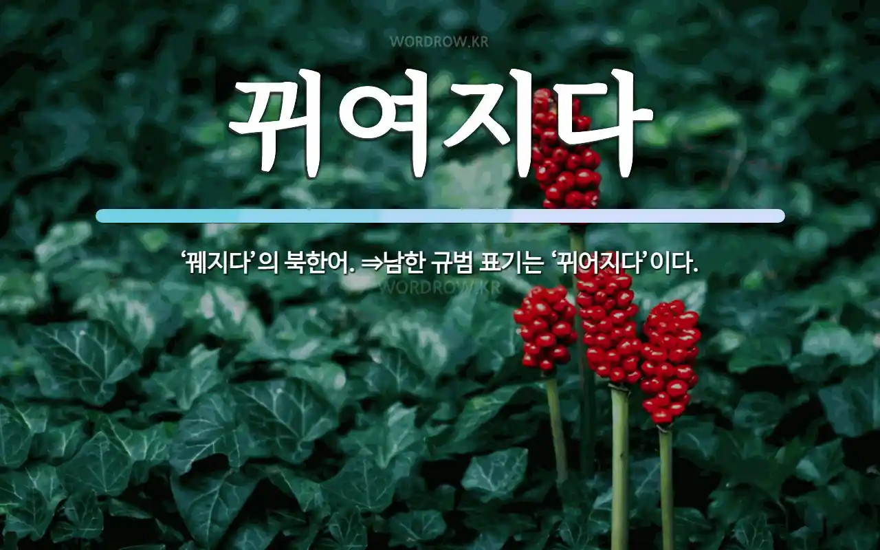 뀌여지다 뜻 ‘꿰지다의 북한어 ⇒남한 규범 표기는 ‘뀌어지다이다