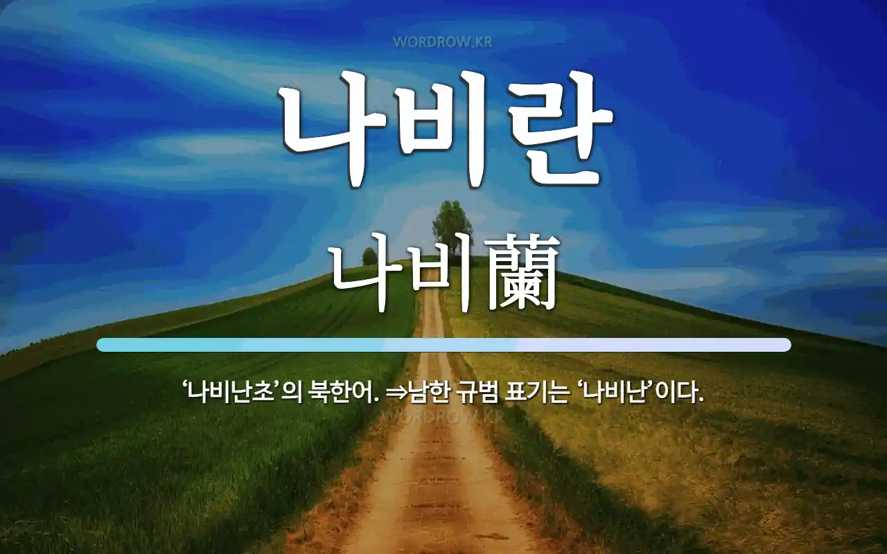 나비란 뜻 ‘나비난초의 북한어 ⇒남한 규범 표기는 ‘나비난이다