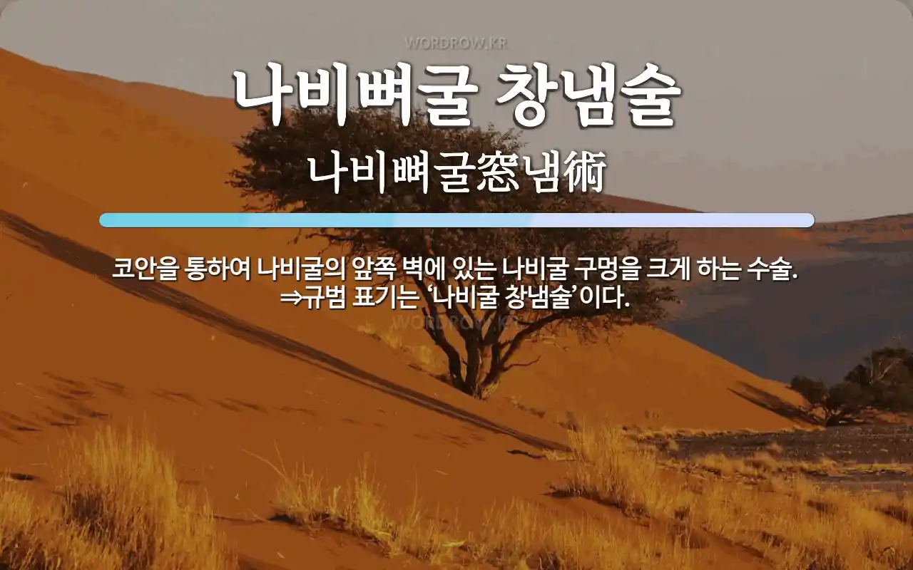 나비뼈굴 창냄술 뜻 코안을 통하여 나비굴의 앞쪽 벽에 있는 나비굴 구멍을 크게 하는 수술 ⇒규범 표기는 ‘나