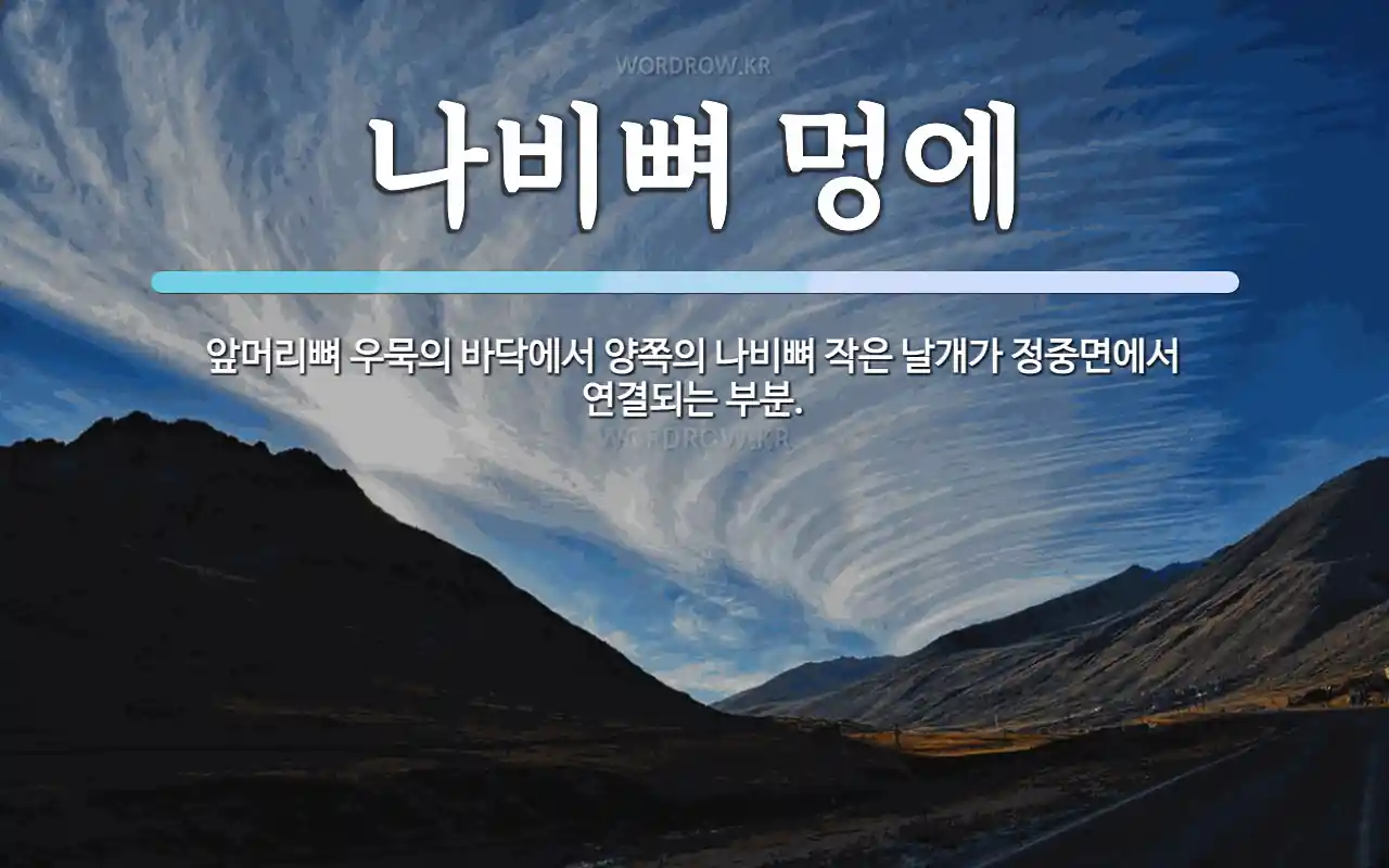 나비뼈 멍에 뜻 앞머리뼈 우묵의 바닥에서 양쪽의 나비뼈 작은 날개가 정중면에서 연결되는 부분