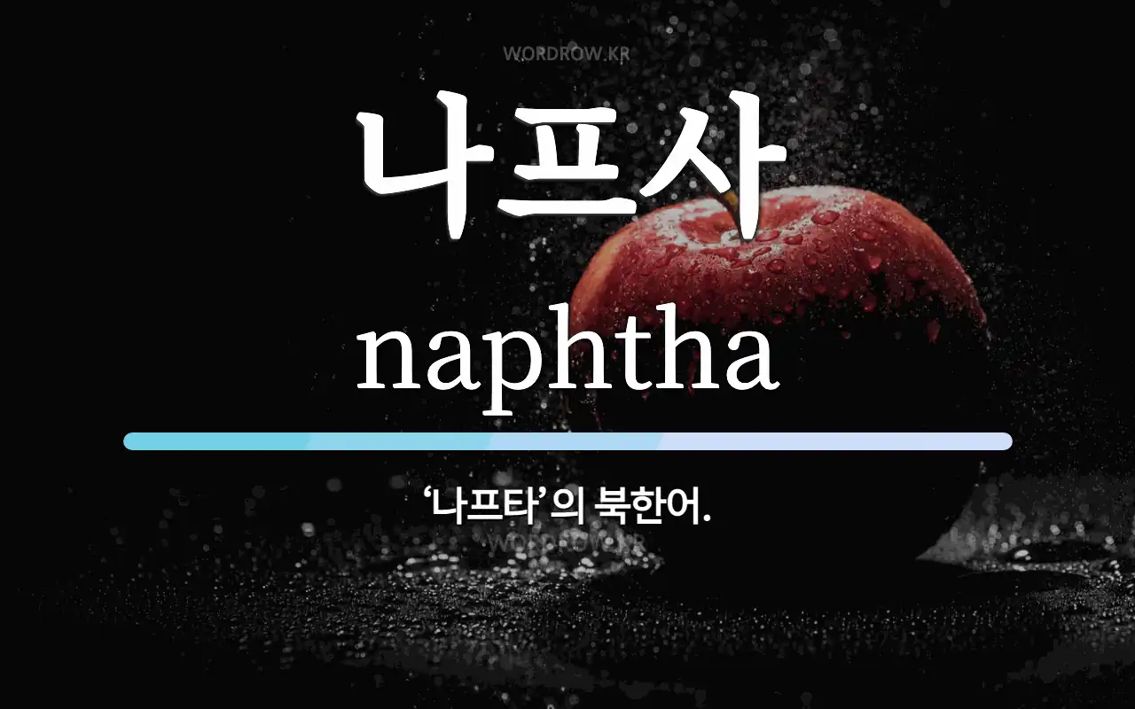 나프사 뜻 ‘나프타의 북한어