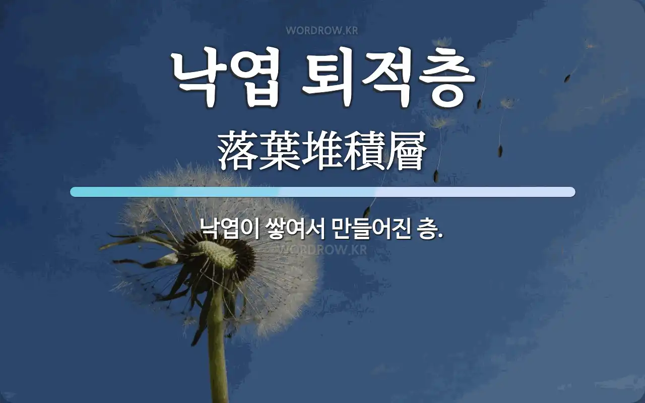 낙엽 퇴적층 뜻 낙엽이 쌓여서 만들어진 층
