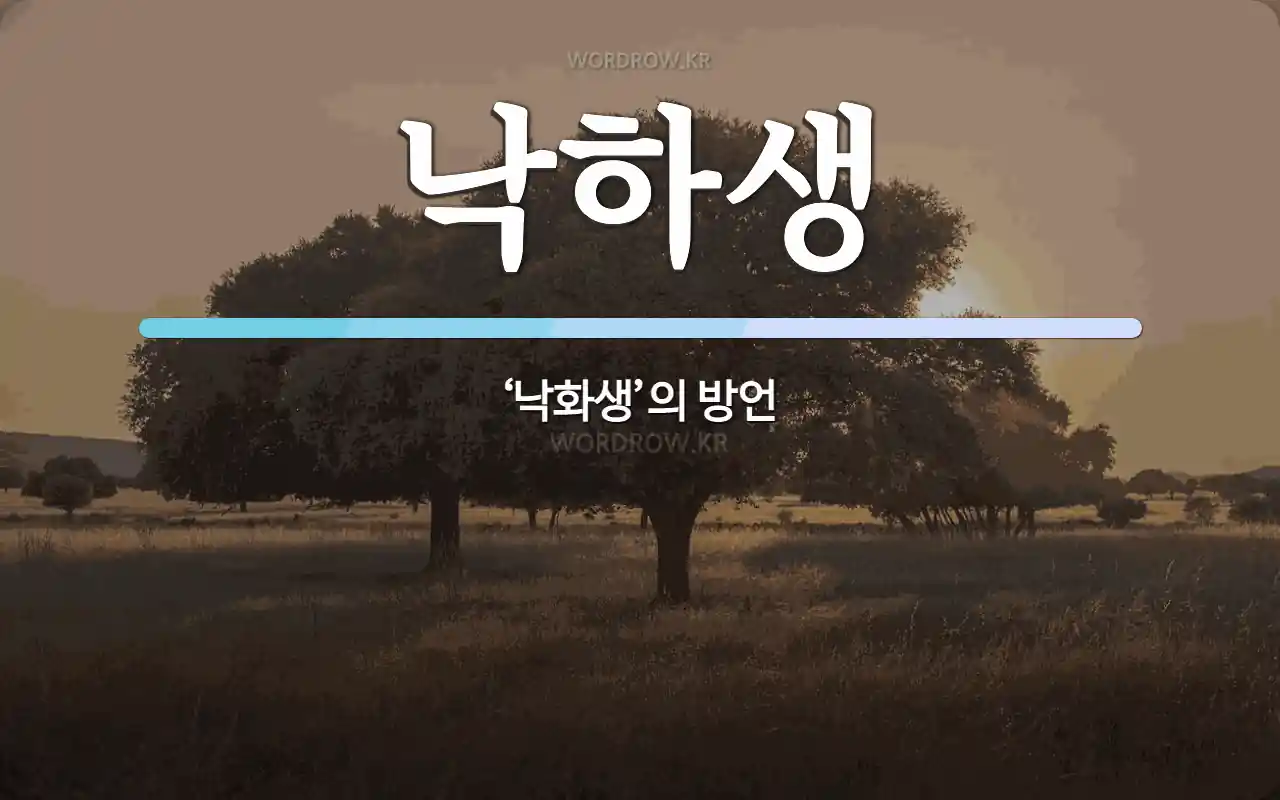 낙하생 뜻 ‘낙화생의 방언