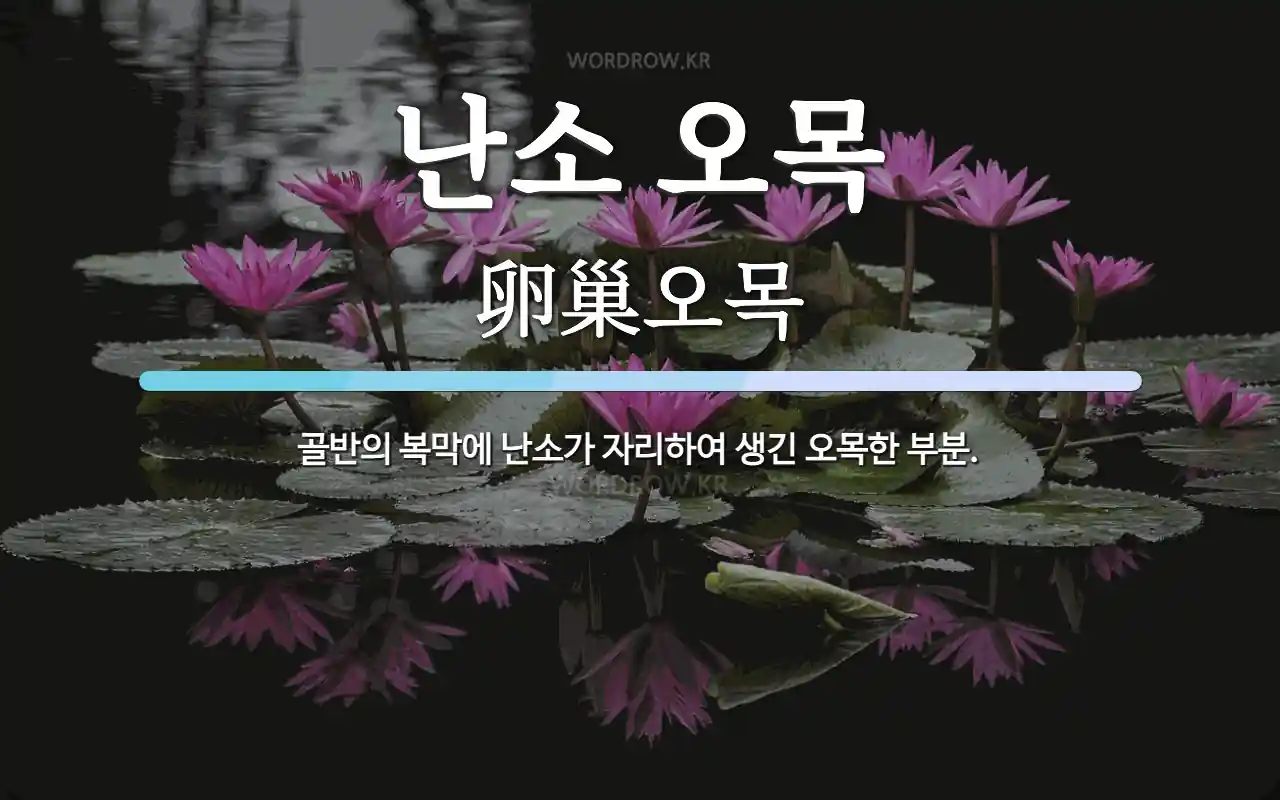 난소 오목 뜻 골반의 복막에 난소가 자리하여 생긴 오목한 부분