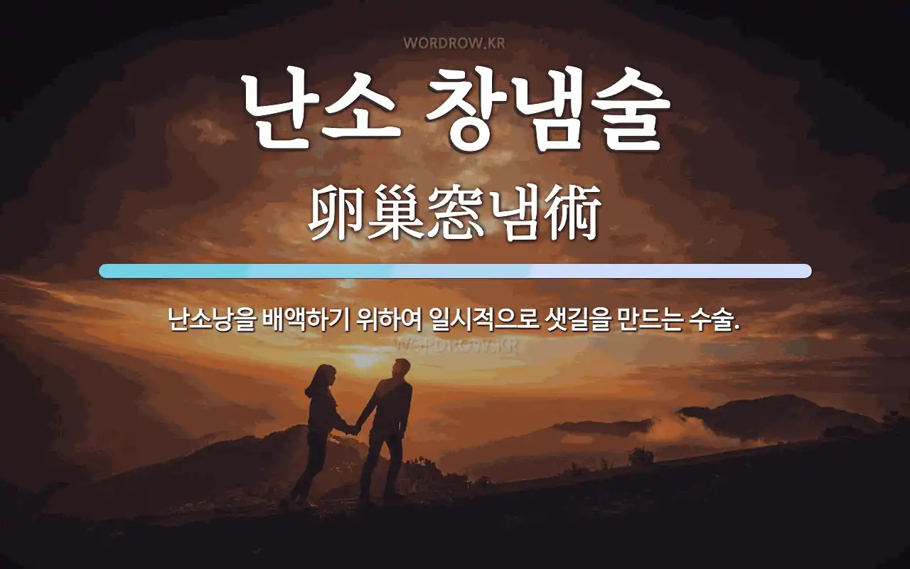 난소 창냄술 뜻 난소낭을 배액하기 위하여 일시적으로 샛길을 만드는 수술