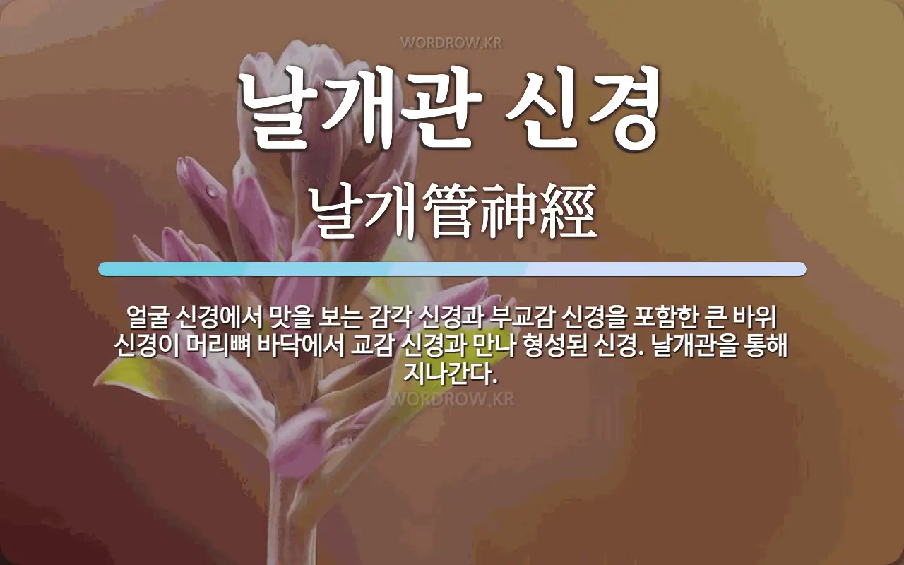 날개관 신경 뜻 얼굴 신경에서 맛을 보는 감각 신경과 부교감 신경을 포함한 큰 바위 신경이 머리뼈 바닥에서