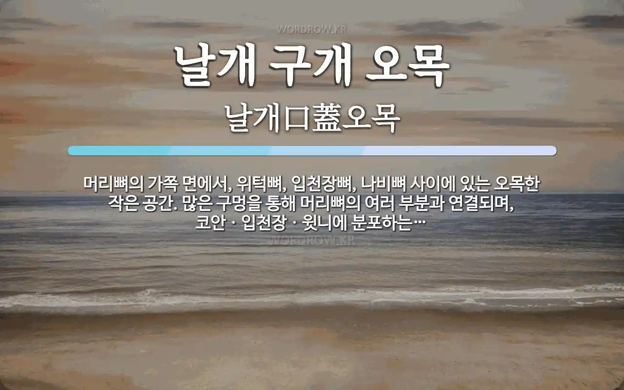 날개 구개 오목 뜻 머리뼈의 가쪽 면에서 위턱뼈 입천장뼈 나비뼈 사이에 있는 오목한 작은 공간 많은 구