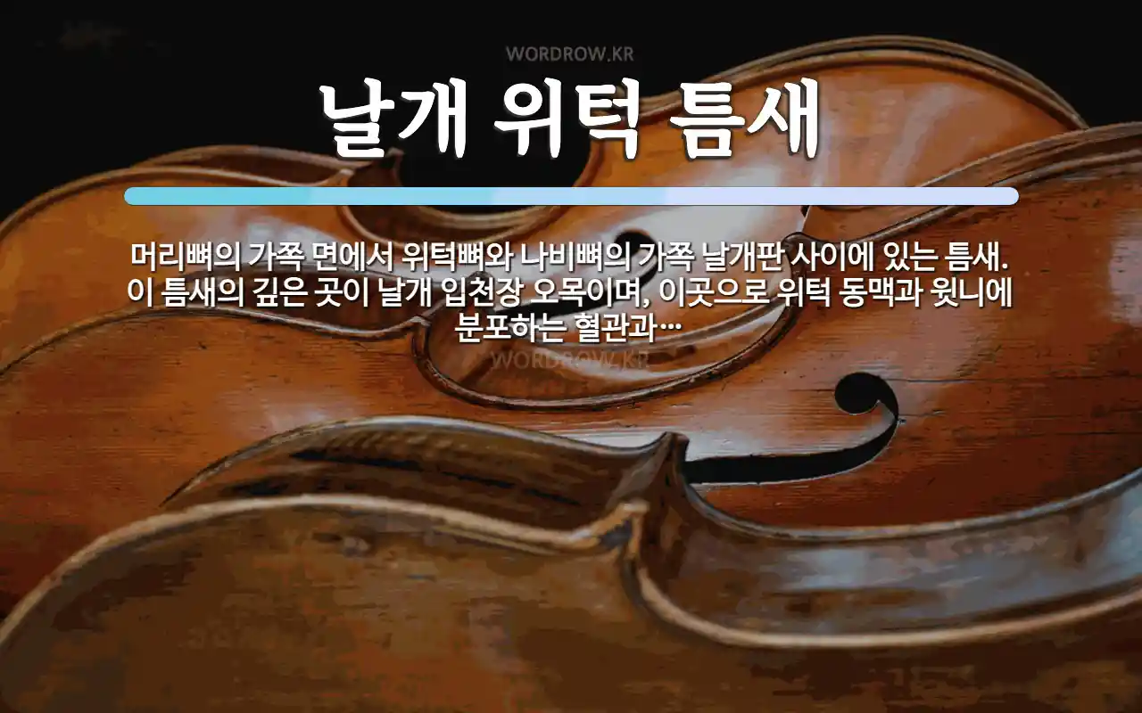 날개 위턱 틈새 뜻 머리뼈의 가쪽 면에서 위턱뼈와 나비뼈의 가쪽 날개판 사이에 있는 틈새 이 틈새의 깊은 곳