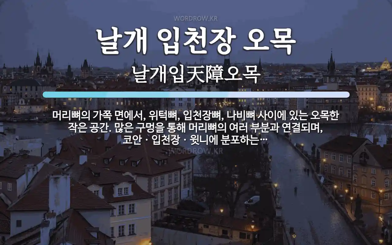 날개 입천장 오목 뜻 머리뼈의 가쪽 면에서 위턱뼈 입천장뼈 나비뼈 사이에 있는 오목한 작은 공간 많은 구