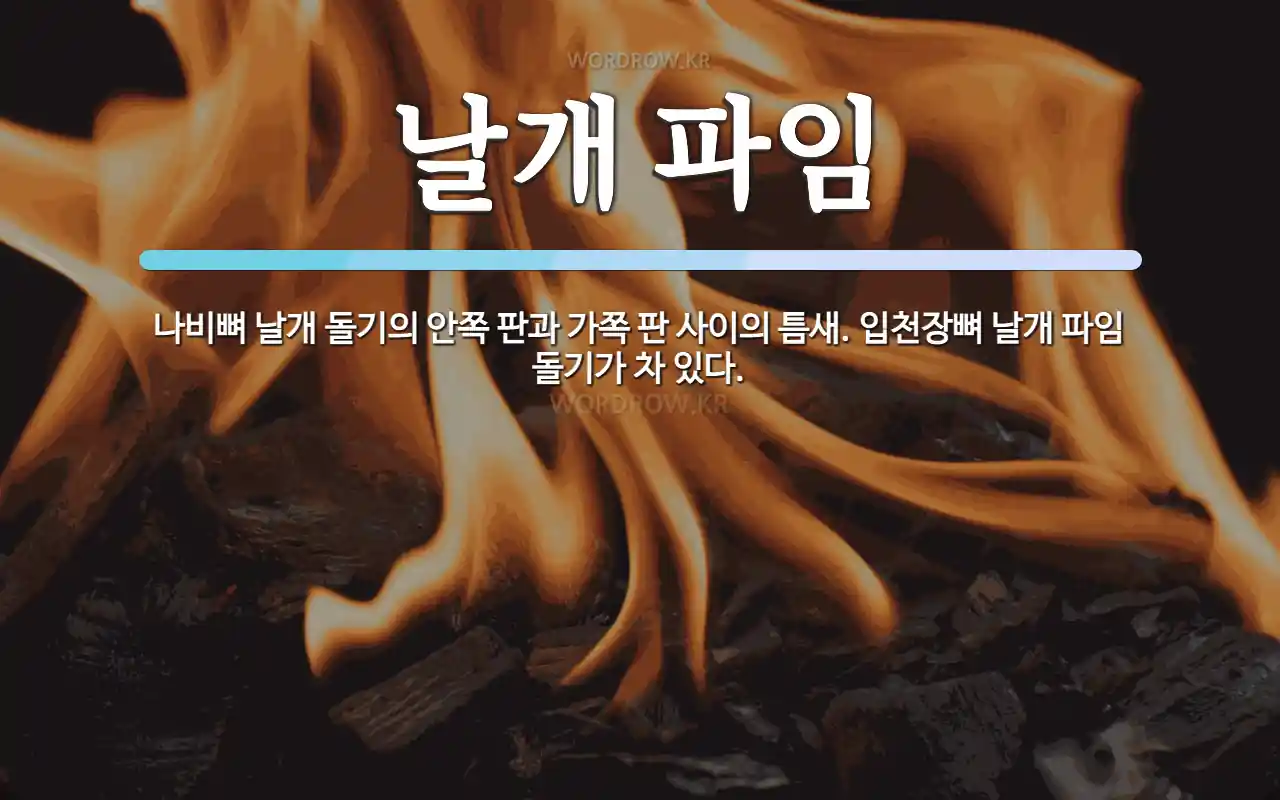 날개 파임 뜻 나비뼈 날개 돌기의 안쪽 판과 가쪽 판 사이의 틈새 입천장뼈 날개 파임 돌기가 차 있다