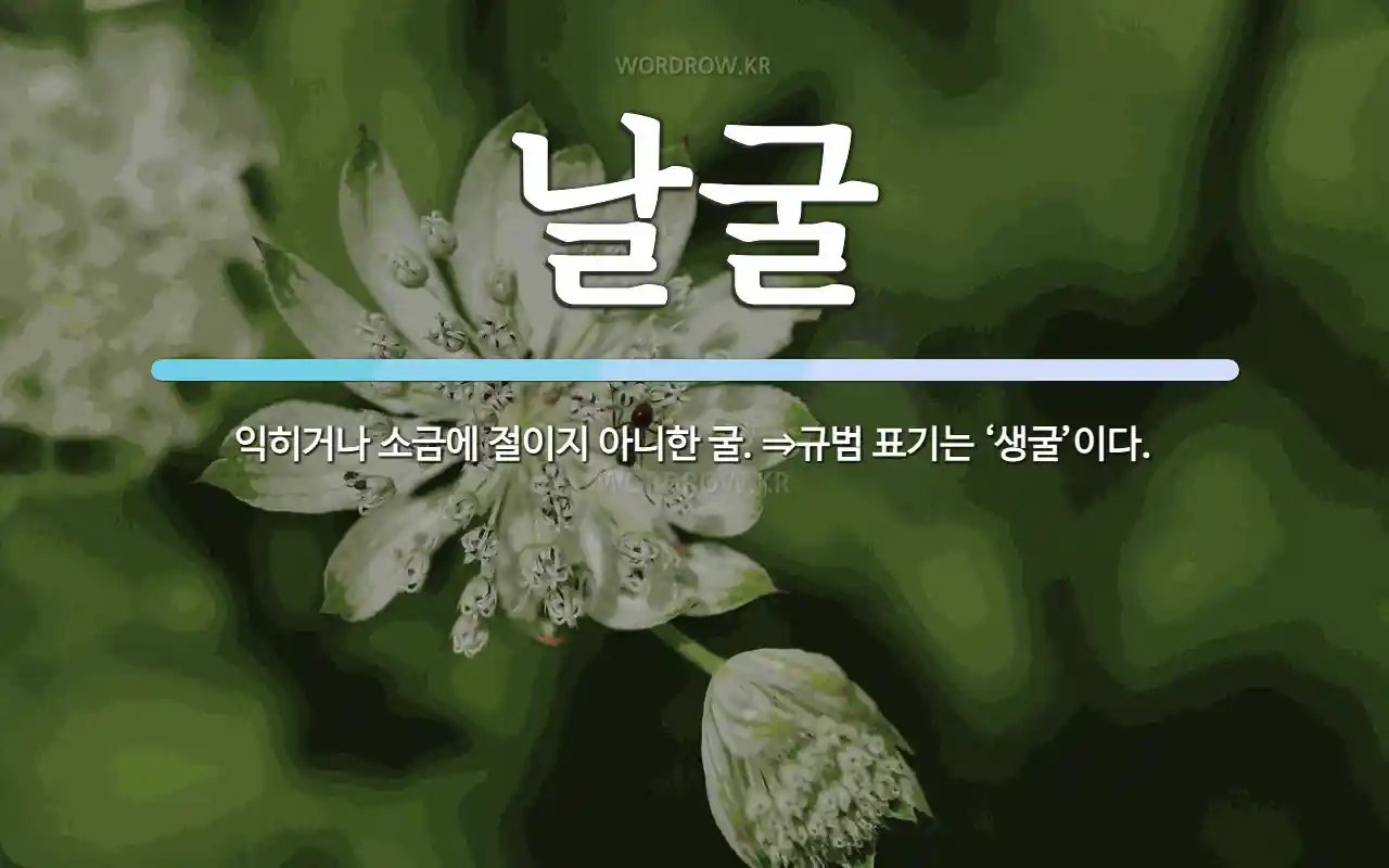 날굴 뜻 익히거나 소금에 절이지 아니한 굴 ⇒규범 표기는 ‘생굴이다