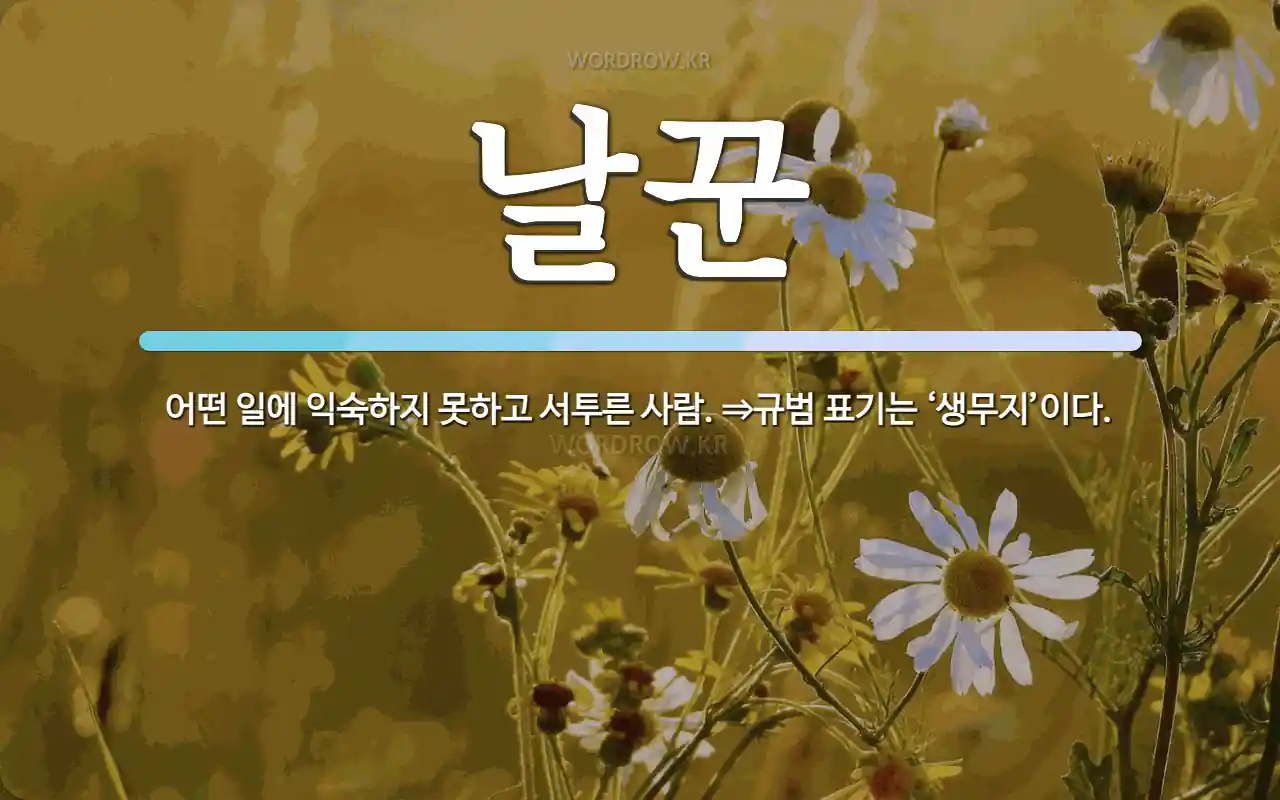 날꾼 뜻 어떤 일에 익숙하지 못하고 서투른 사람 ⇒규범 표기는 ‘생무지이다