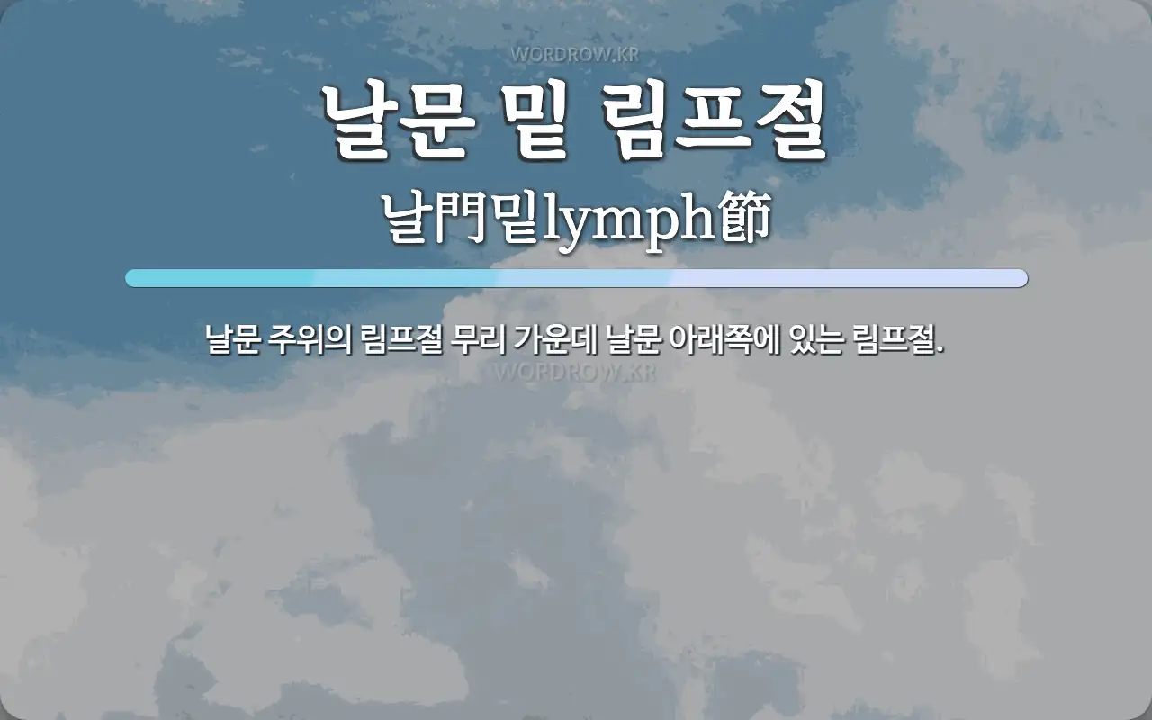 날문 밑 림프절 뜻 날문 주위의 림프절 무리 가운데 날문 아래쪽에 있는 림프절