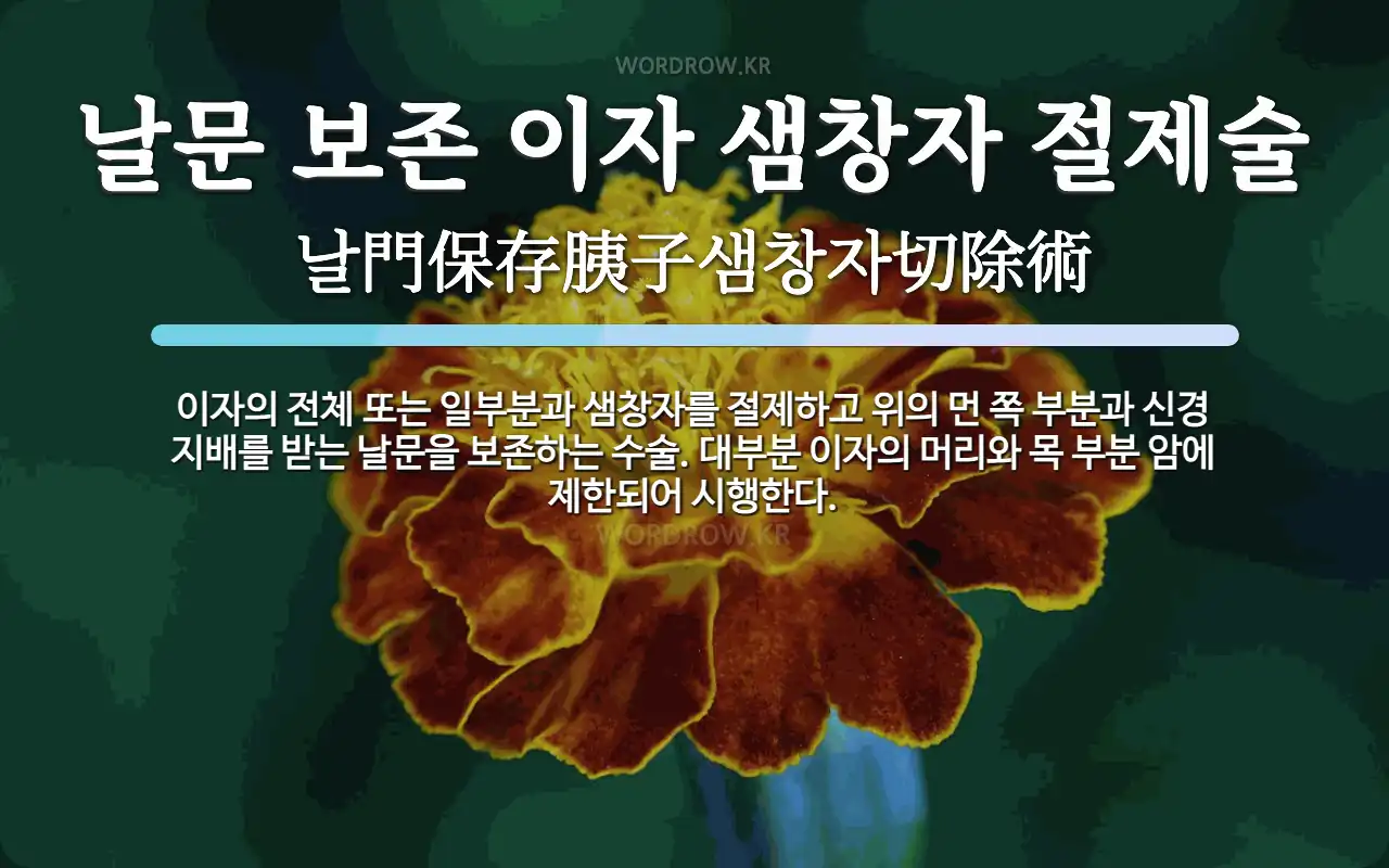 날문 보존 이자 샘창자 절제술 뜻 이자의 전체 또는 일부분과 샘창자를 절제하고 위의 먼 쪽 부분과 신경 지배를 받는 날문을