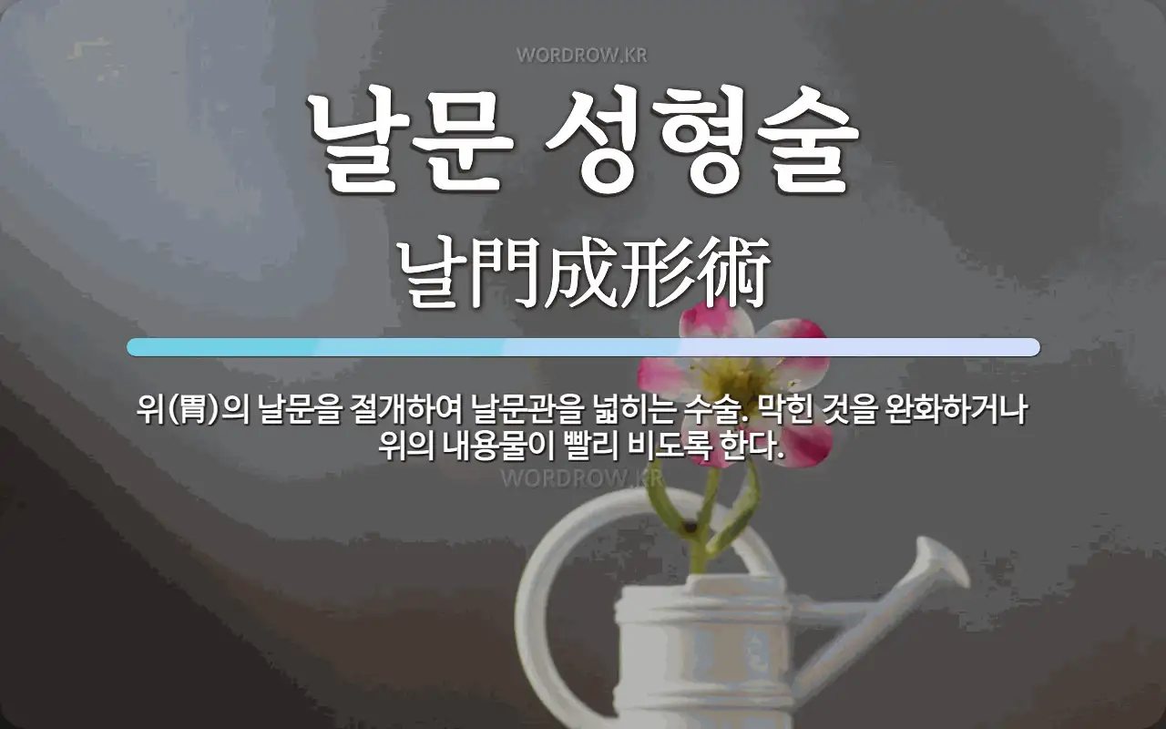 날문 성형술 뜻 위胃의 날문을 절개하여 날문관을 넓히는 수술 막힌 것을 완화하거나 위의 내용물이 빨리