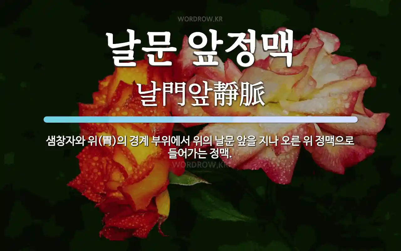 날문 앞정맥 뜻 샘창자와 위胃의 경계 부위에서 위의 날문 앞을 지나 오른 위 정맥으로 들어가는 정맥