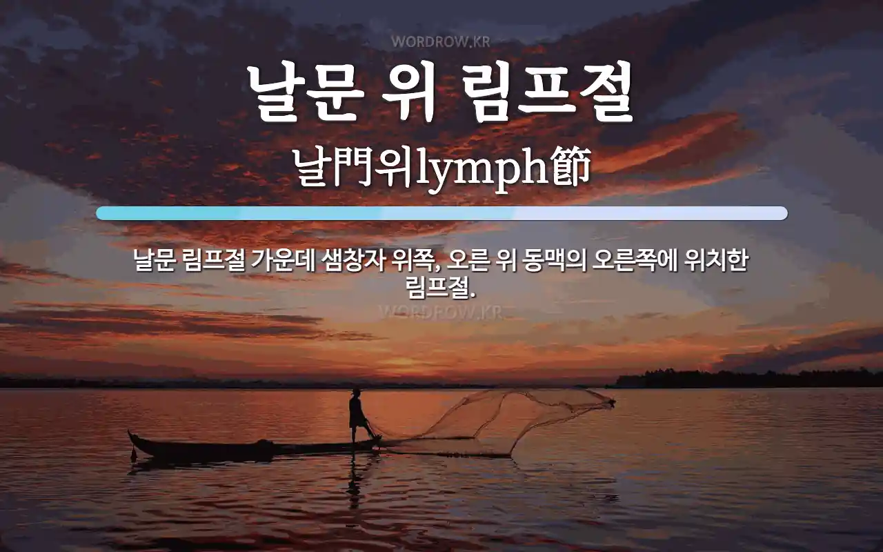 날문 위 림프절 뜻 날문 림프절 가운데 샘창자 위쪽 오른 위 동맥의 오른쪽에 위치한 림프절