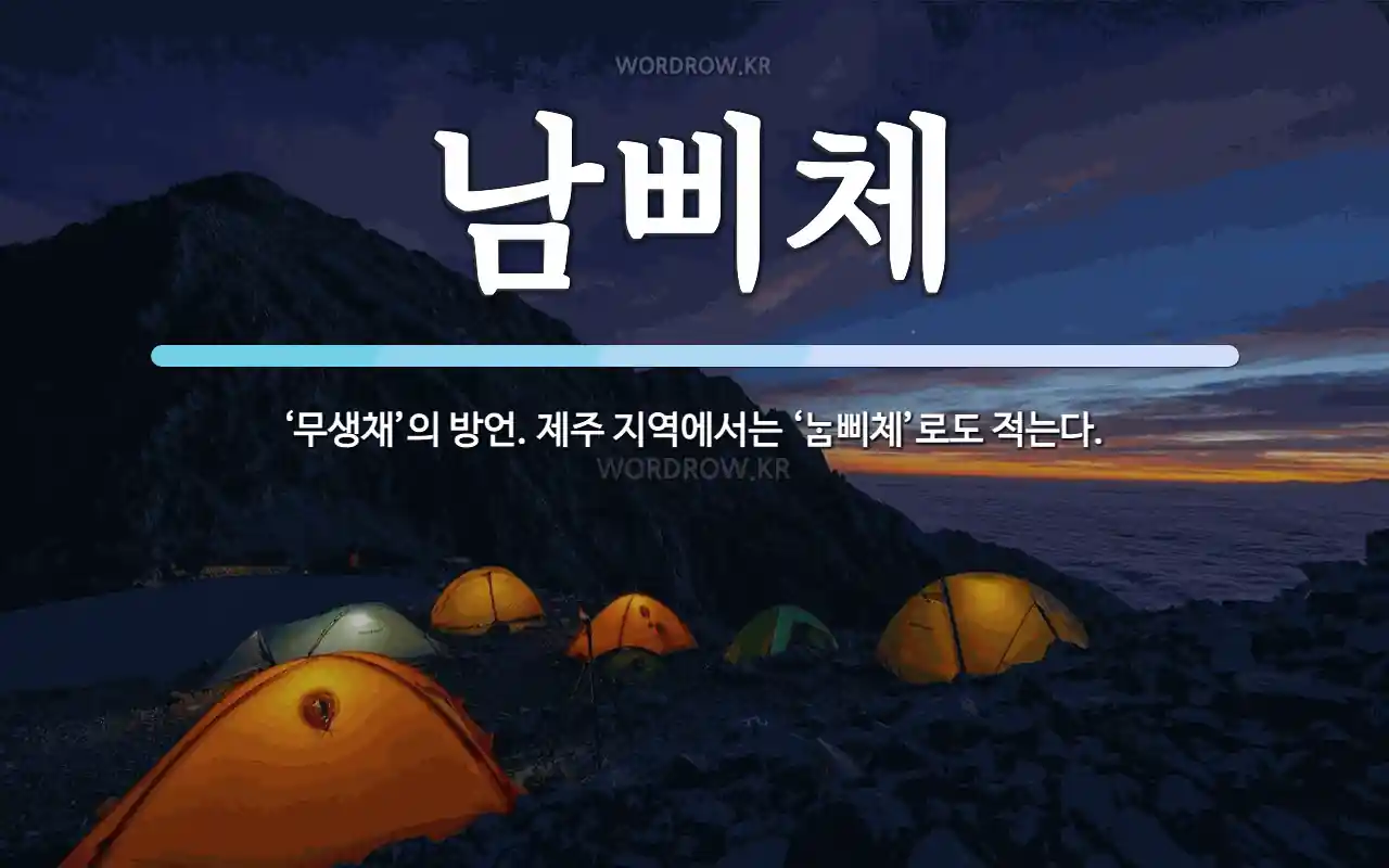 남삐체 뜻 ‘무생채의 방언 제주 지역에서는 ‘ue290삐체로도 적는다