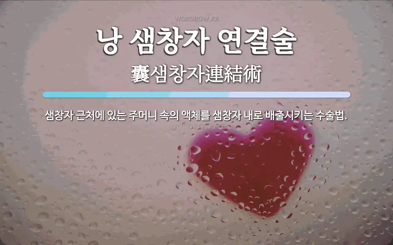 낭 샘창자 연결술 뜻 샘창자 근처에 있는 주머니 속의 액체를 샘창자 내로 배출시키는 수술법
