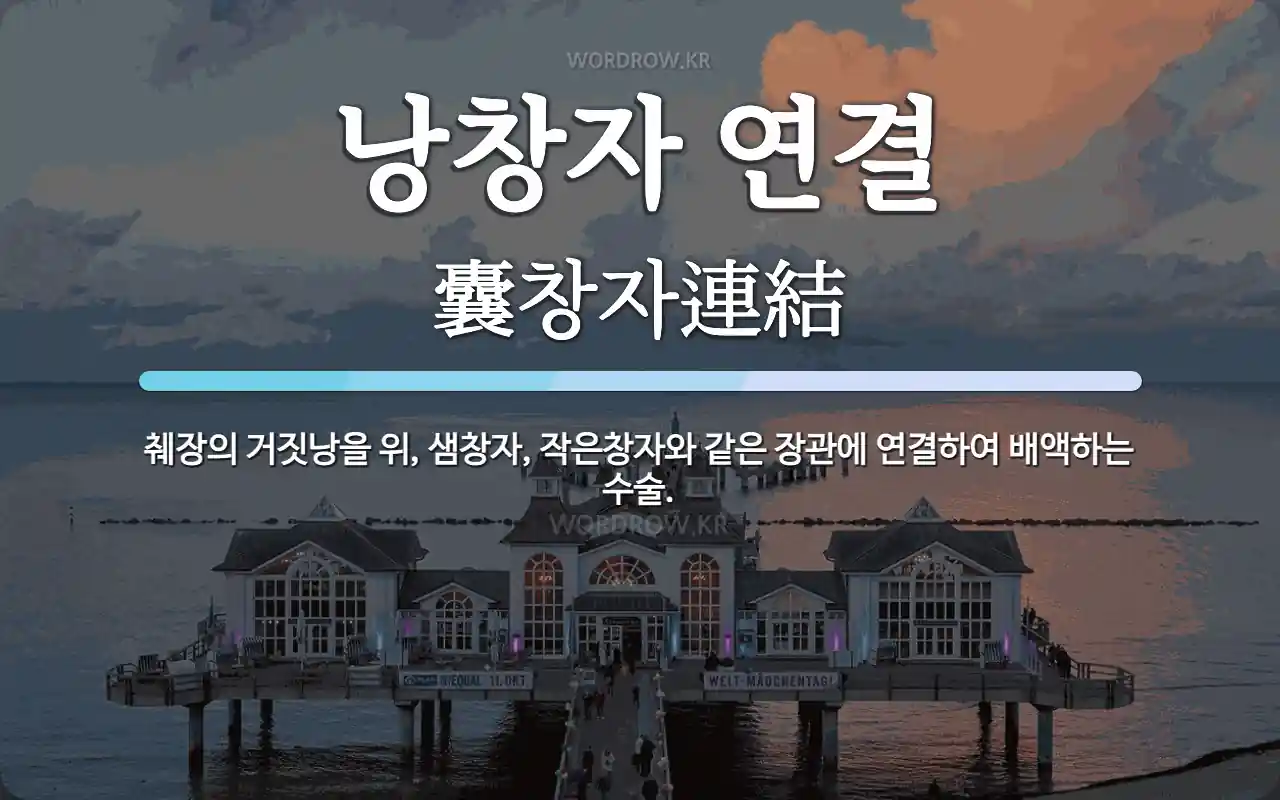 낭창자 연결 뜻 췌장의 거짓낭을 위 샘창자 작은창자와 같은 장관에 연결하여 배액하는 수술