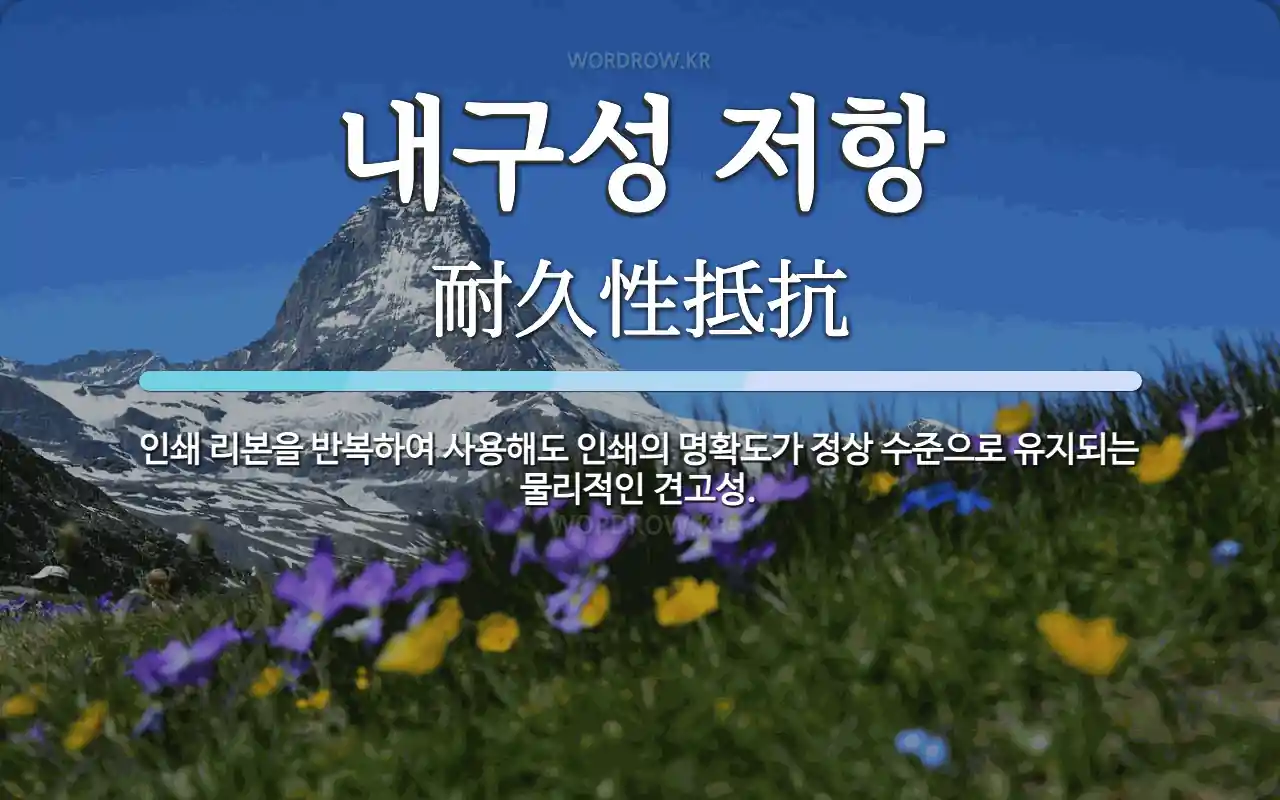 내구성 저항 뜻 인쇄 리본을 반복하여 사용해도 인쇄의 명확도가 정상 수준으로 유지되는 물리적인 견고성
