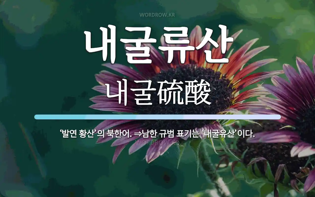 내굴류산 뜻 ‘발연 황산의 북한어 ⇒남한 규범 표기는 ‘내굴유산이다