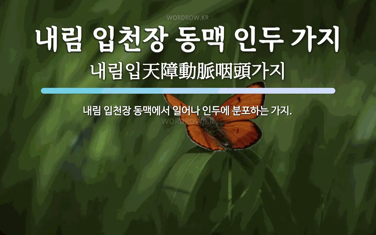 내림 입천장 동맥 인두 가지 뜻 내림 입천장 동맥에서 일어나 인두에 분포하는 가지