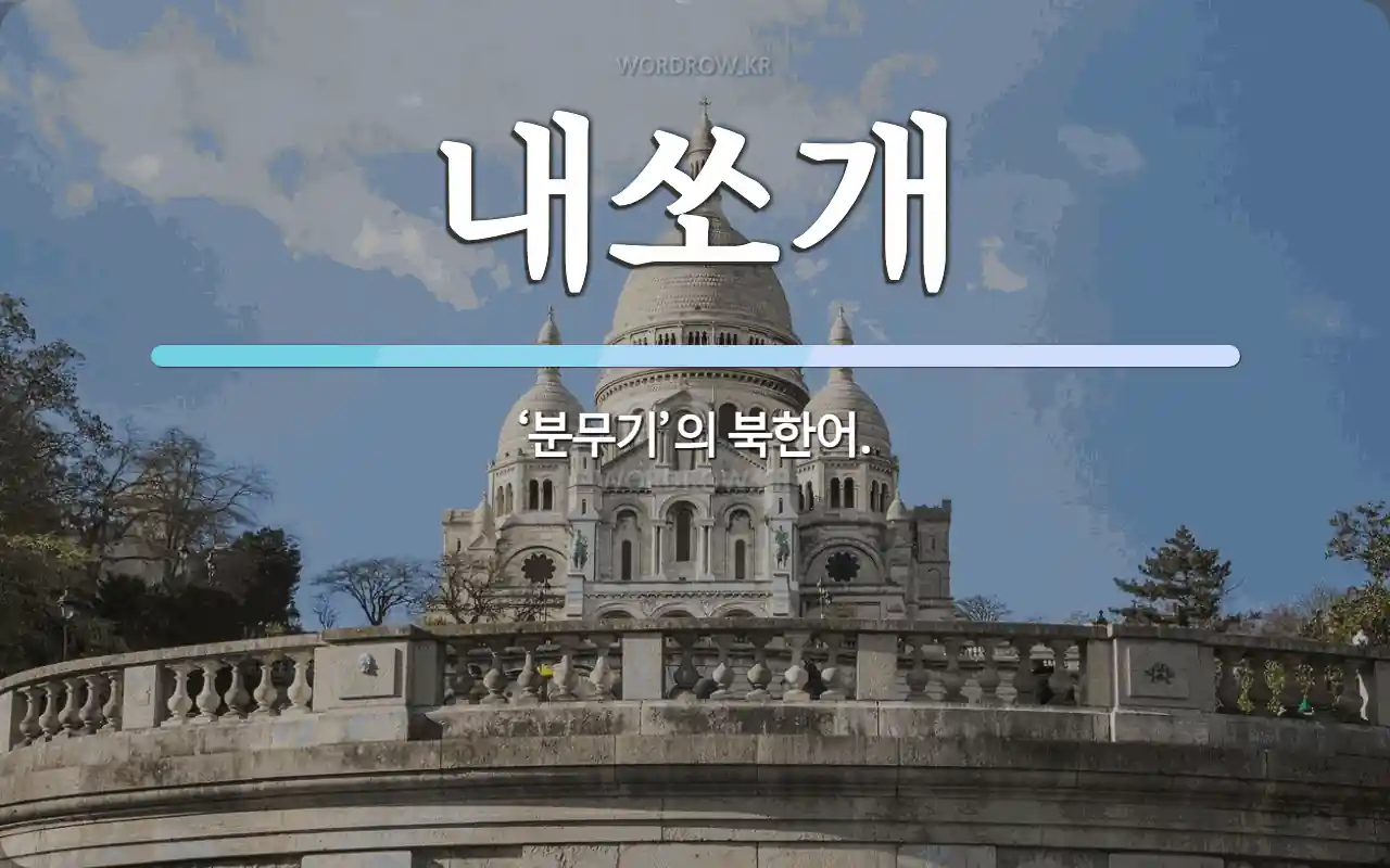 내쏘개 뜻 ‘분무기의 북한어