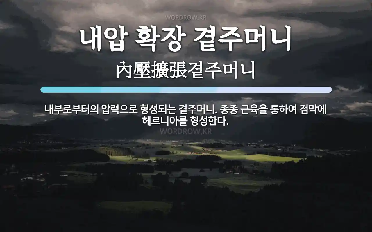 내압 확장 곁주머니 뜻 내부로부터의 압력으로 형성되는 곁주머니 종종 근육을 통하여 점막에 헤르니아를 형성한다