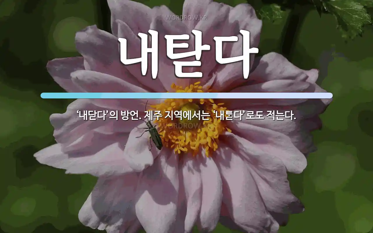 내탇다 뜻 ‘내닫다의 방언 제주 지역에서는 ‘내uf43f다로도 적는다