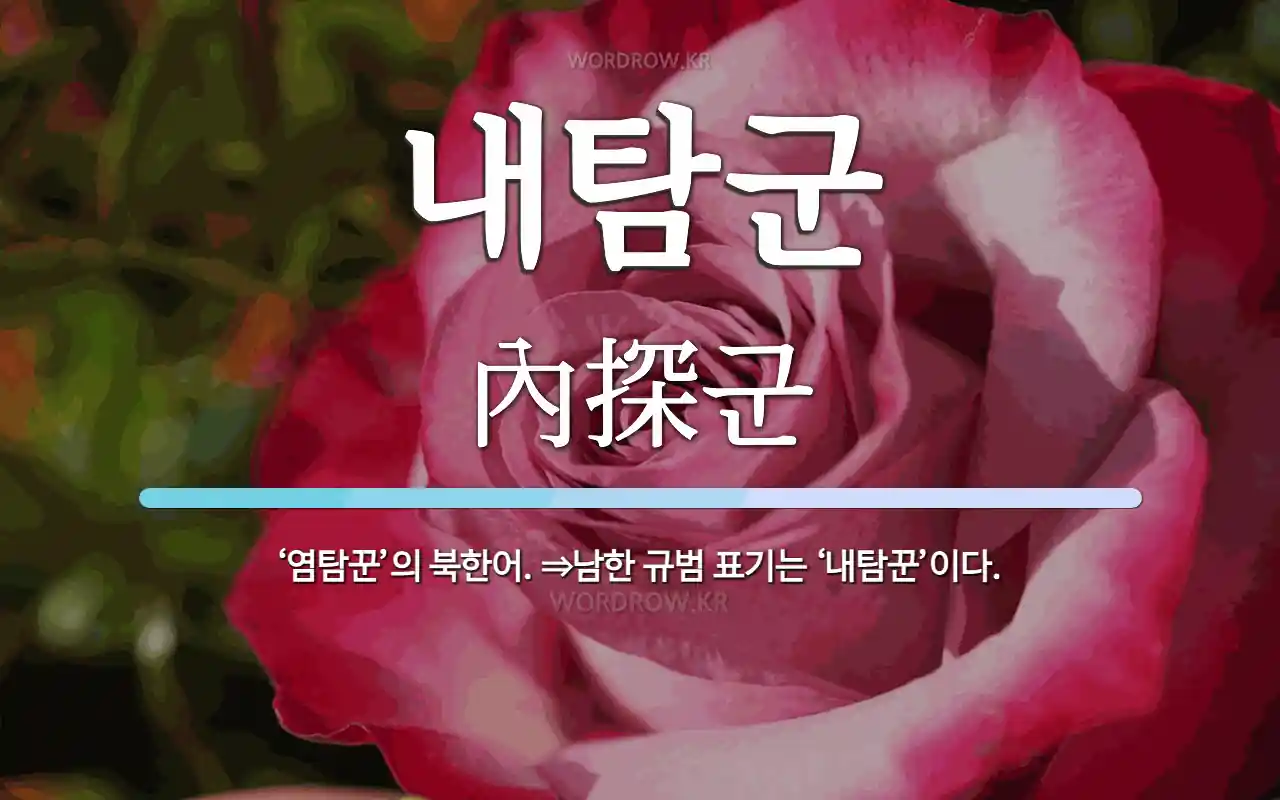 내탐군 뜻 ‘염탐꾼의 북한어 ⇒남한 규범 표기는 ‘내탐꾼이다