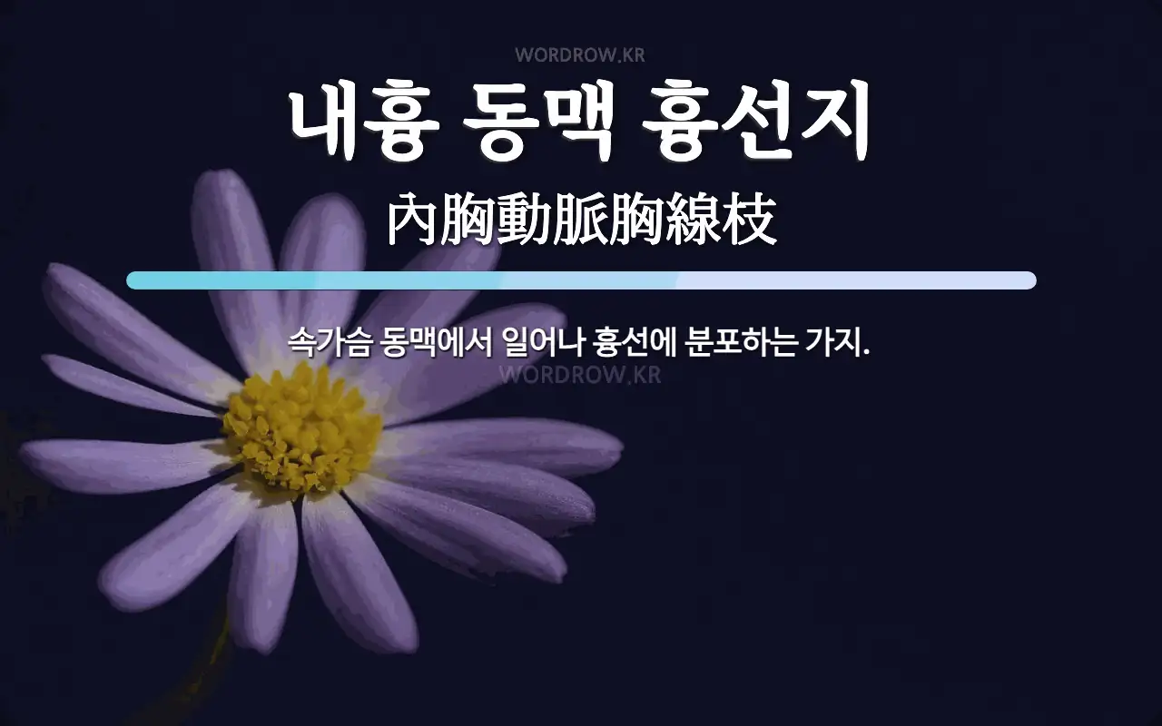 내흉 동맥 흉선지 뜻 속가슴 동맥에서 일어나 흉선에 분포하는 가지