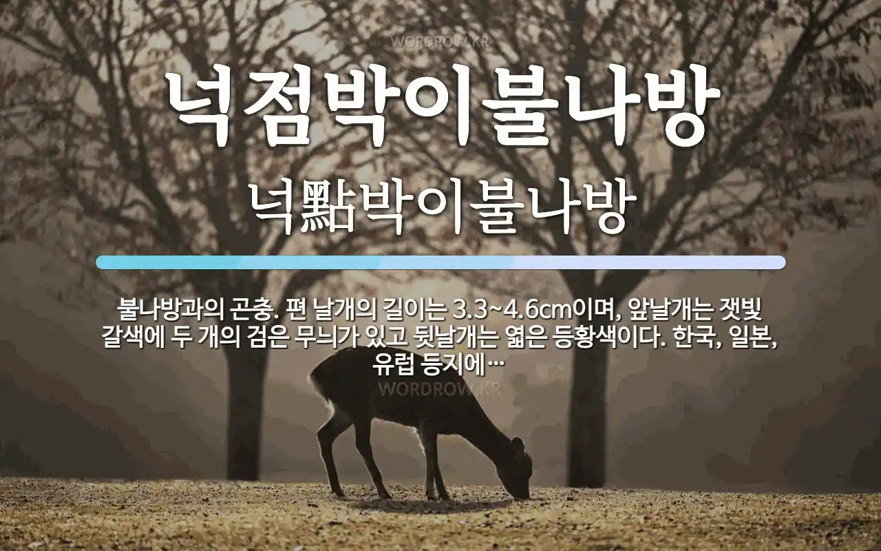넉점박이불나방 뜻 불나방과의 곤충 편 날개의 길이는 33~46cm이며 앞날개는 잿빛 갈색에 두 개의