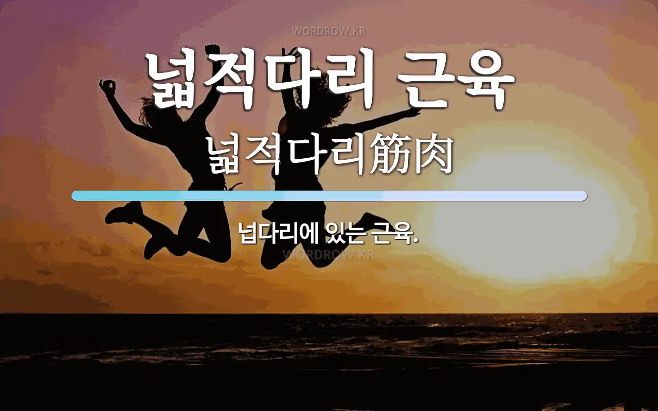 넓적다리 근육 뜻 넙다리에 있는 근육