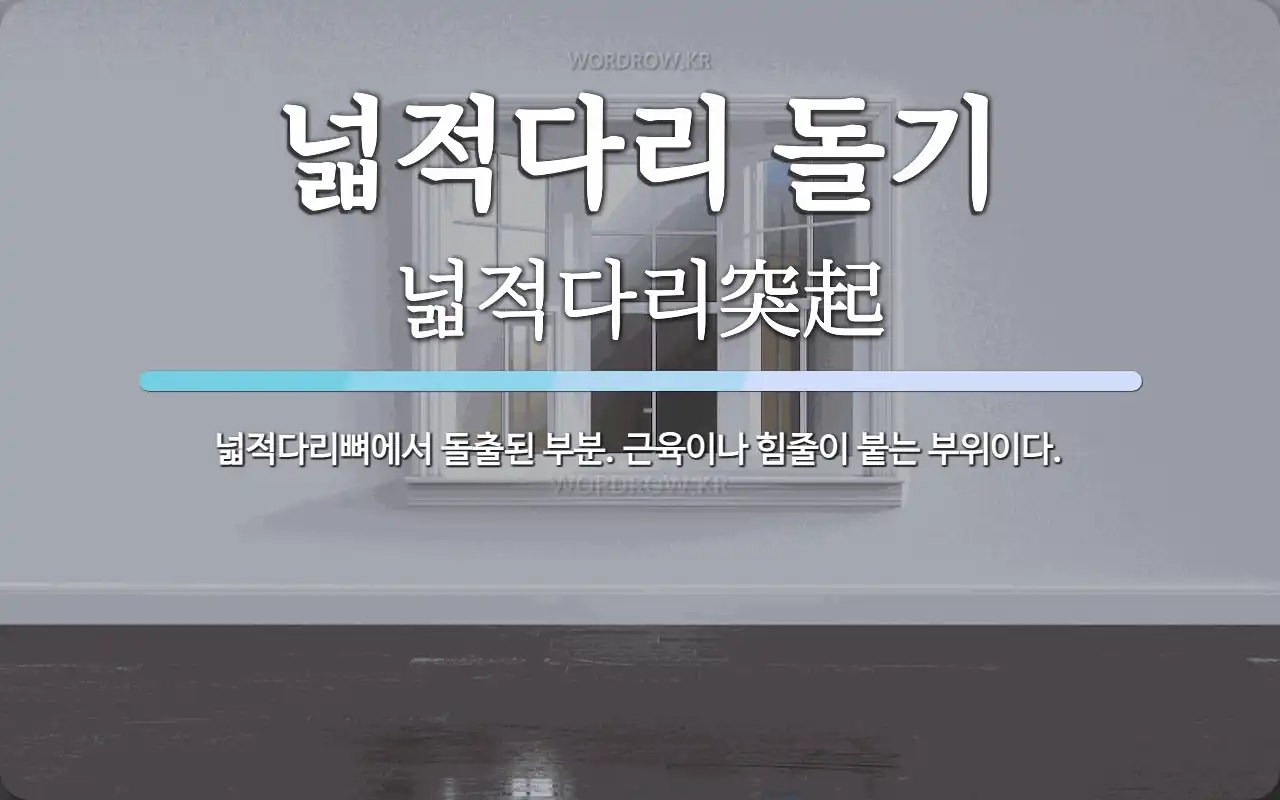 넓적다리 돌기 뜻 넓적다리뼈에서 돌출된 부분 근육이나 힘줄이 붙는 부위이다
