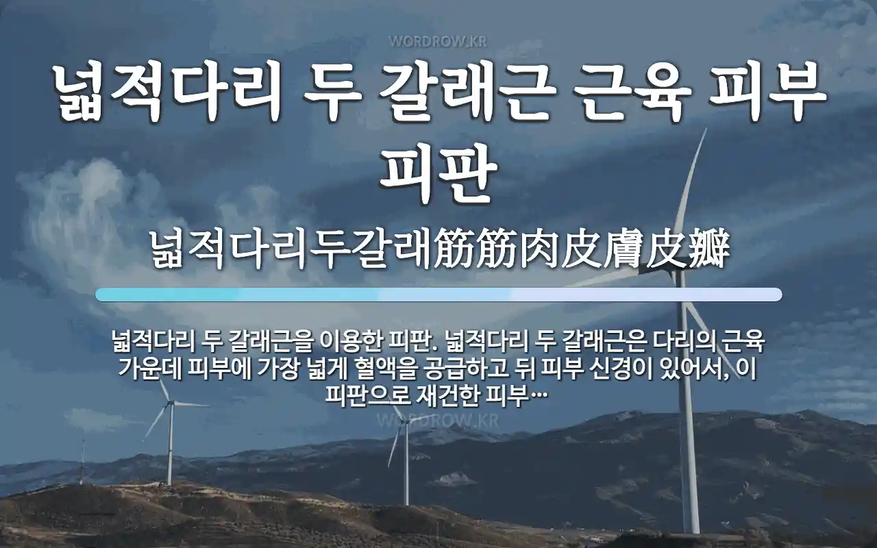 넓적다리 두 갈래근 근육 피부 피판 뜻 넓적다리 두 갈래근을 이용한 피판 넓적다리 두 갈래근은 다리의 근육 가운데 피부에 가장