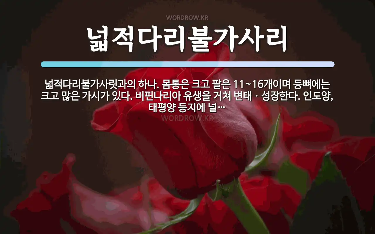 넓적다리불가사리 뜻 넓적다리불가사릿과의 하나 몸통은 크고 팔은 11~16개이며 등뼈에는 크고 많은 가시가 있