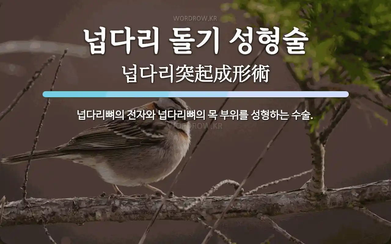 넙다리 돌기 성형술 뜻 넙다리뼈의 전자와 넙다리뼈의 목 부위를 성형하는 수술