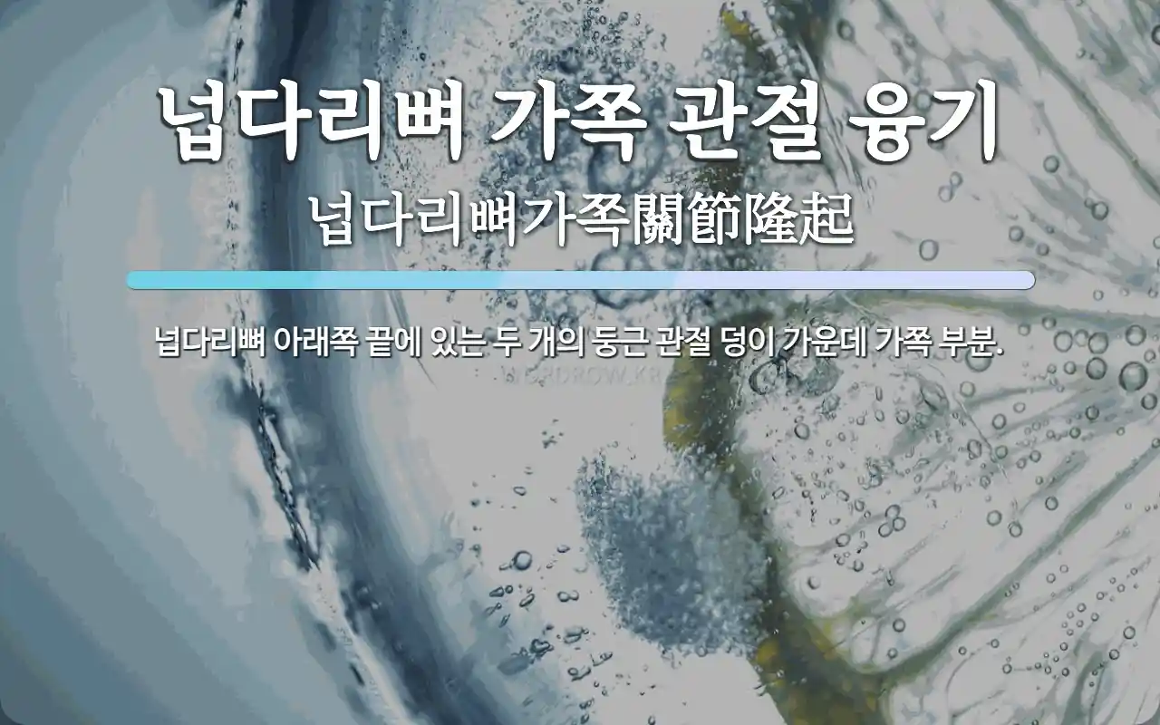 넙다리뼈 가쪽 관절 융기 뜻 넙다리뼈 아래쪽 끝에 있는 두 개의 둥근 관절 덩이 가운데 가쪽 부분