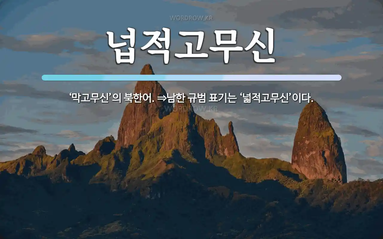 넙적고무신 뜻 ‘막고무신의 북한어 ⇒남한 규범 표기는 ‘넓적고무신이다